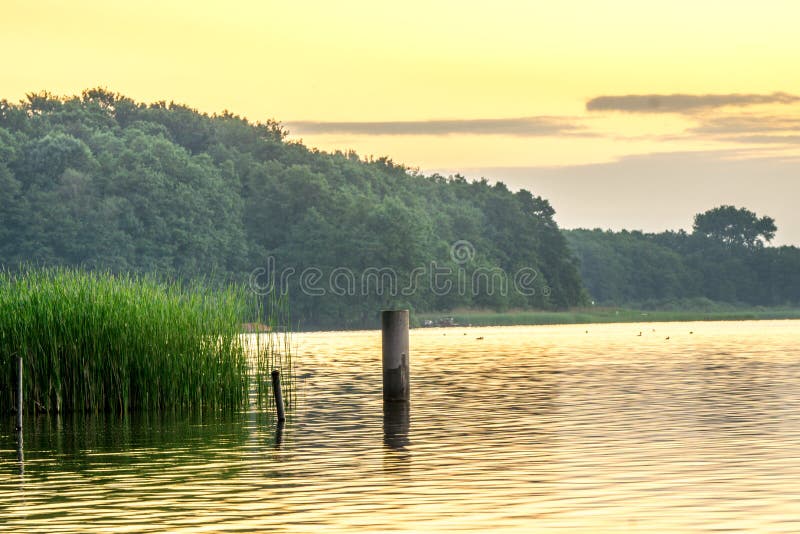 Lake with reeds at sunrise stock image. Image of beautiful - 94542371
