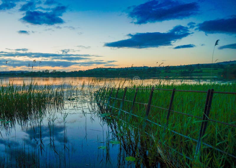 Lake with reeds at sunset stock photo. Image of lakesunset - 148860322