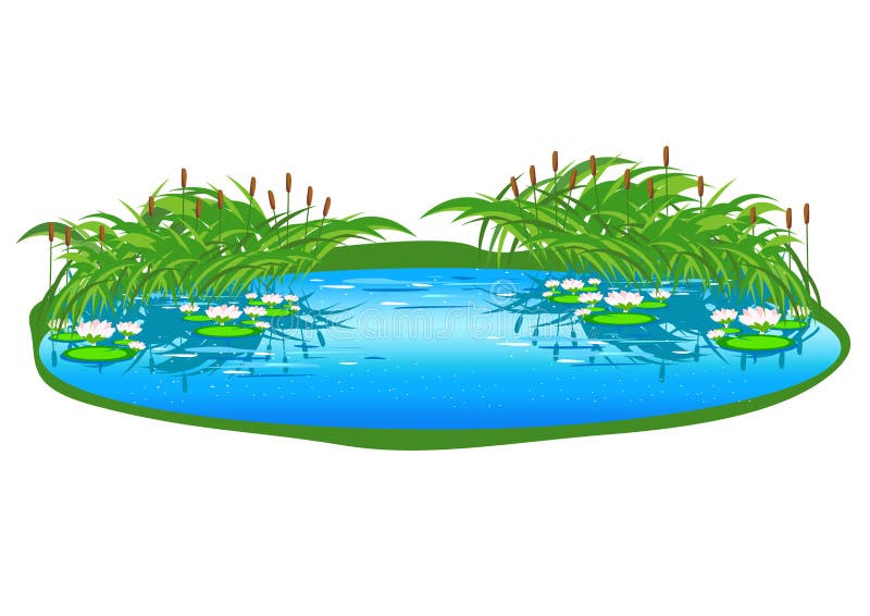 Water Reeds Cartoon Stock Illustrations – 588 Water Reeds Cartoon Stock ...