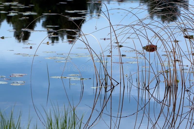 Lake Reflection stock image. Image of outdoor, abstract - 18897301