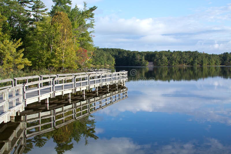 Lake Reflection stock photo. Image of trees, clouds, waterscape - 21600180