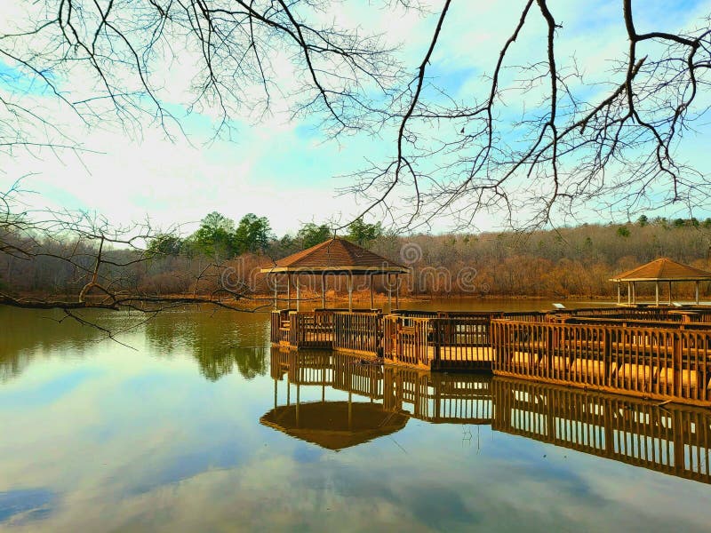 Lake with Reflection stock image. Image of flower, evening - 220444221