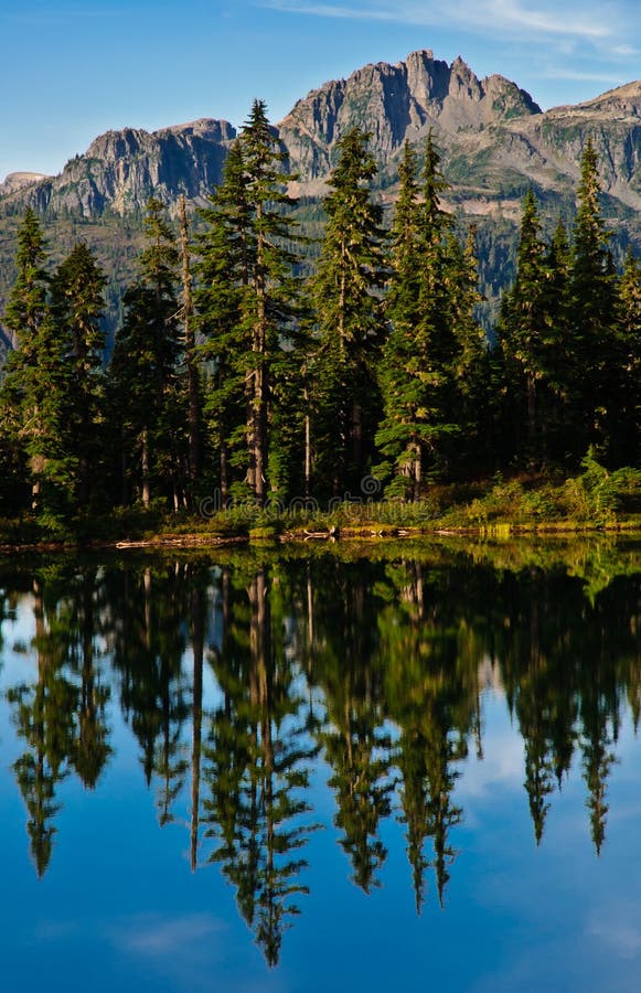 Lake Reflection with Silhouette of Trees Stock Photo - Image of dusk ...