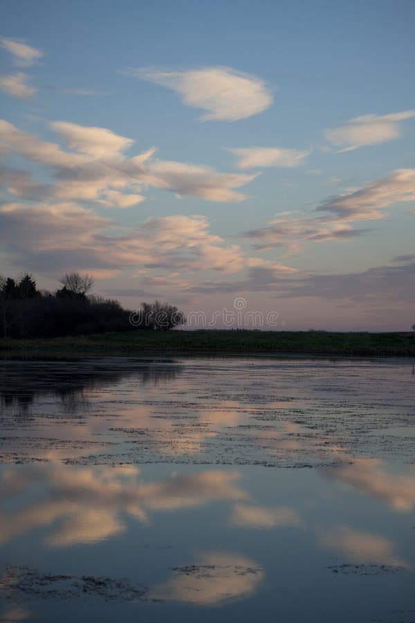 Reflection of Clouds and Trees in a Lake. Horizontal Stock Photo ...