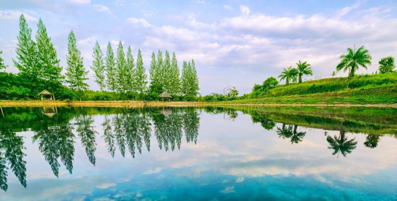 Lake with reflection stock photo. Image of green, trees - 49092128