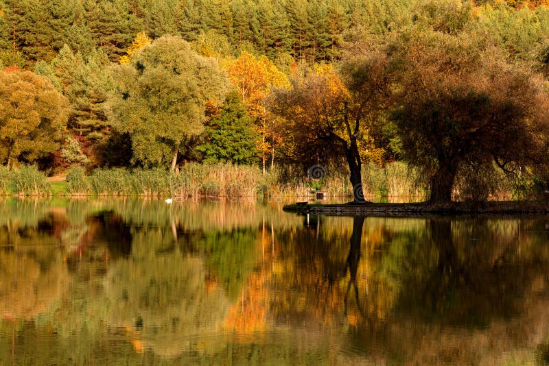 Lake Reflection with Fall Color Stock Image - Image of leaf, season ...