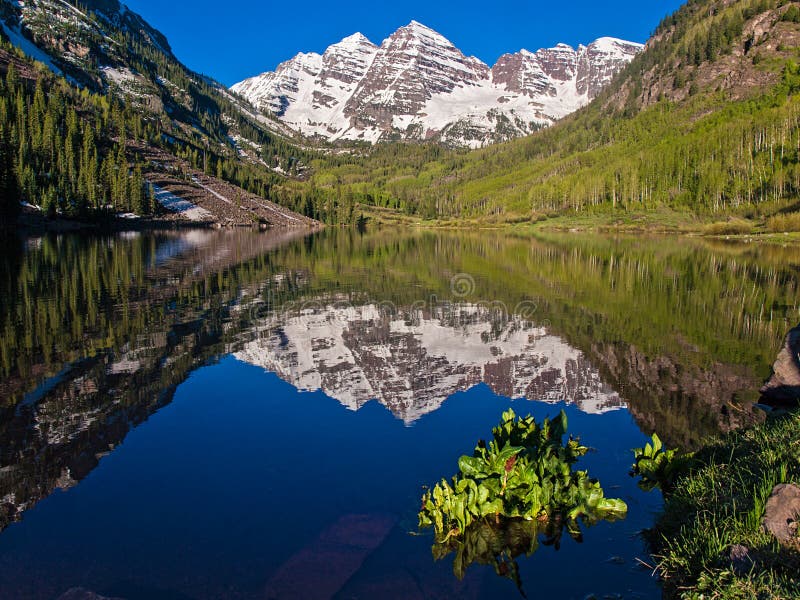 Lake Reflection of the Maroon Bells Near Aspen, Colorado Stock Photo ...