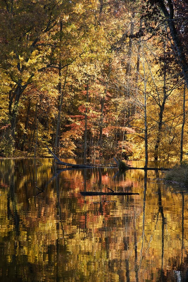 Lake Reflections stock photo. Image of pretty, orange - 7186042