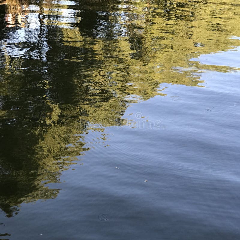 Lake Reflections River Reflections Stock Image - Image of river, lake ...