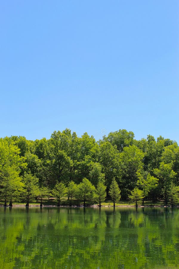 Lake reflects treeline stock image. Image of nature - 193554183