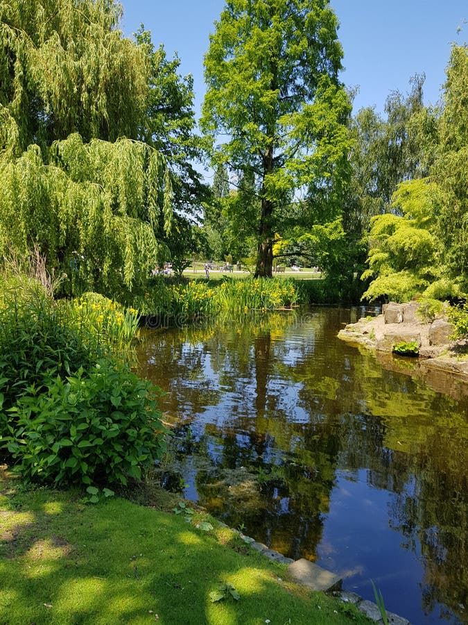 Regent lake mirror stock image. Image of london, park - 118208415