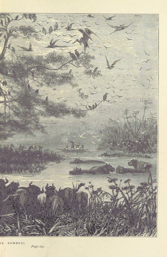 British Library Digitised Image From Page 287 Of "The Lake Regions Of ...