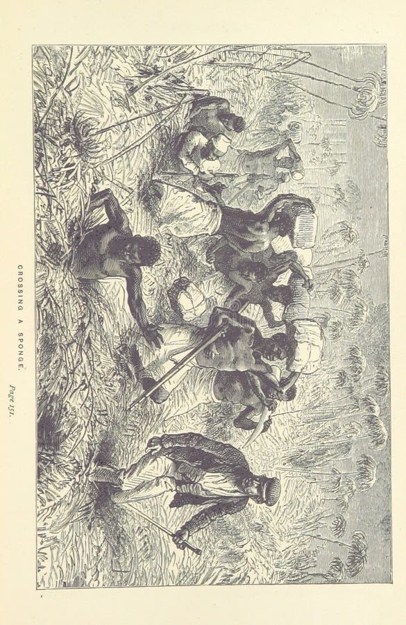 British Library Digitised Image From Page 207 Of "The Lake Regions Of ...