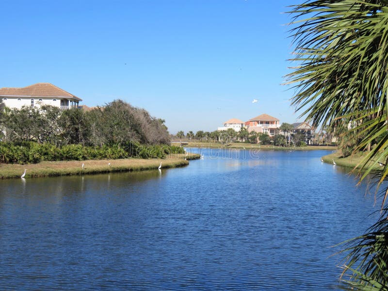 Community Lake in a Residential Area Surrounded by Homes Stock Image ...