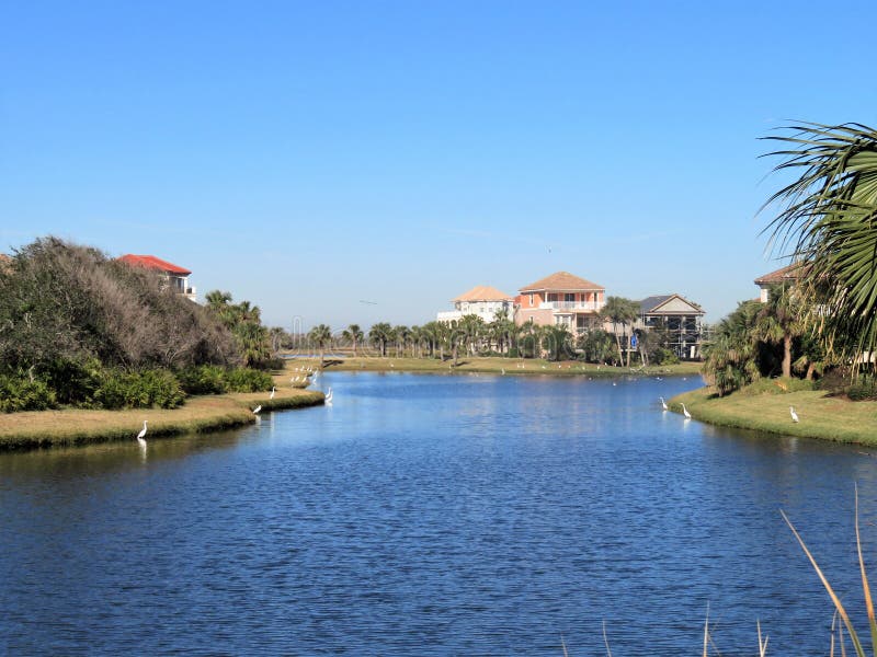 Community Lake in a Residential Area Surrounded by Homes Stock Image ...