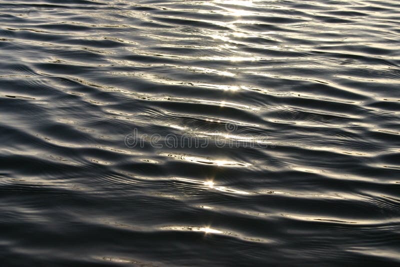 Lake with Ripples on the Surface and Thickets of Trees on the Shore ...