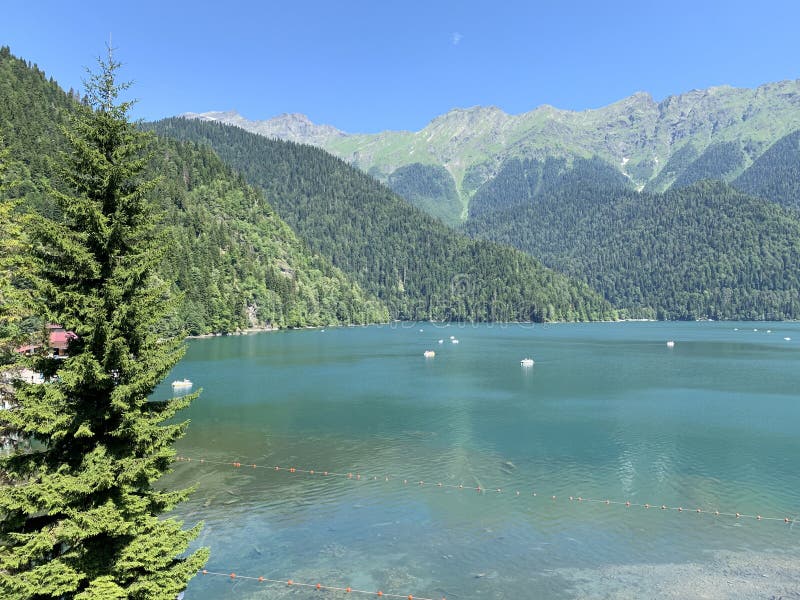 Lake Ritsa in Summer in Sunny Day, Abkhazia Stock Photo - Image of pond ...