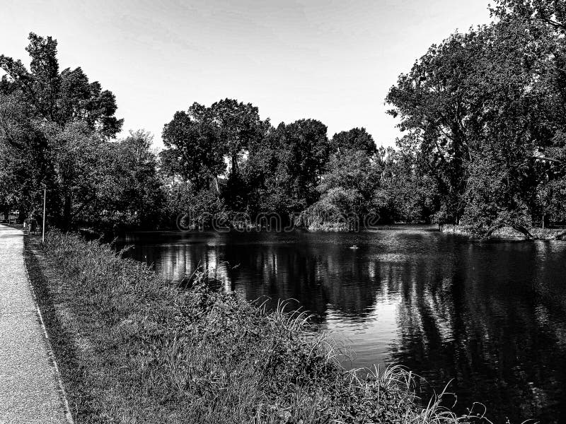 Lake with River in Black and White Stock Image - Image of branch ...