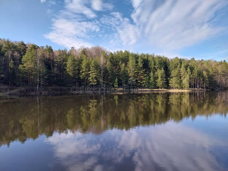 Lake River Sun Sunny Nature Grass Forest Green Deep Depth Reflection ...