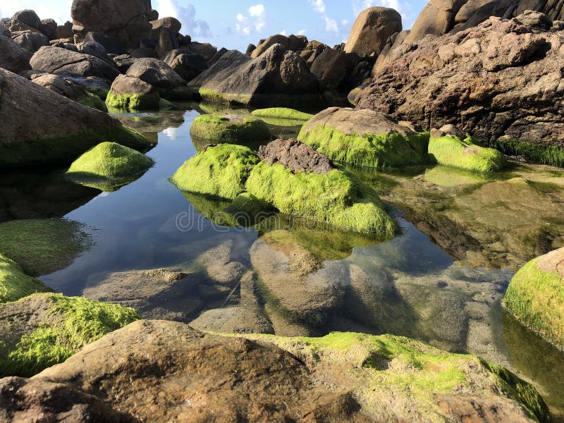 Lake with Rocks with Green Algae Stock Image - Image of algae, coconut ...