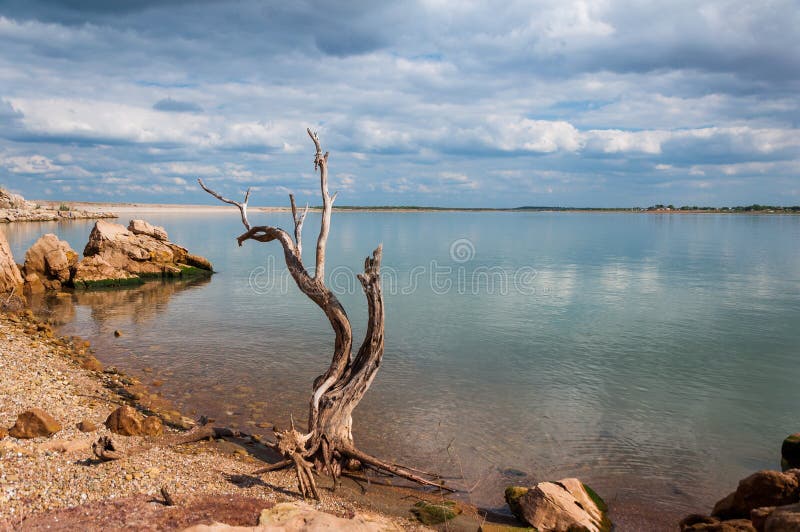Lake Rocks and Tree stock image. Image of texas, level - 42283569