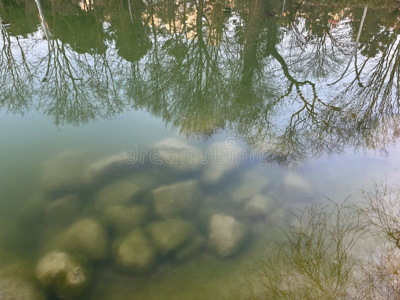 Lake Rocks and Tree Reflection Stock Photo - Image of serenity, travel ...
