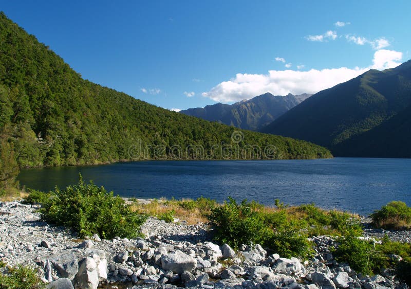 Lake Rotoiti stock image. Image of water, rotoiti, forest - 21373573