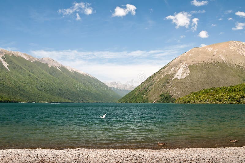 Lake Rotoiti stock photo. Image of hiking, zealand, water - 22364682