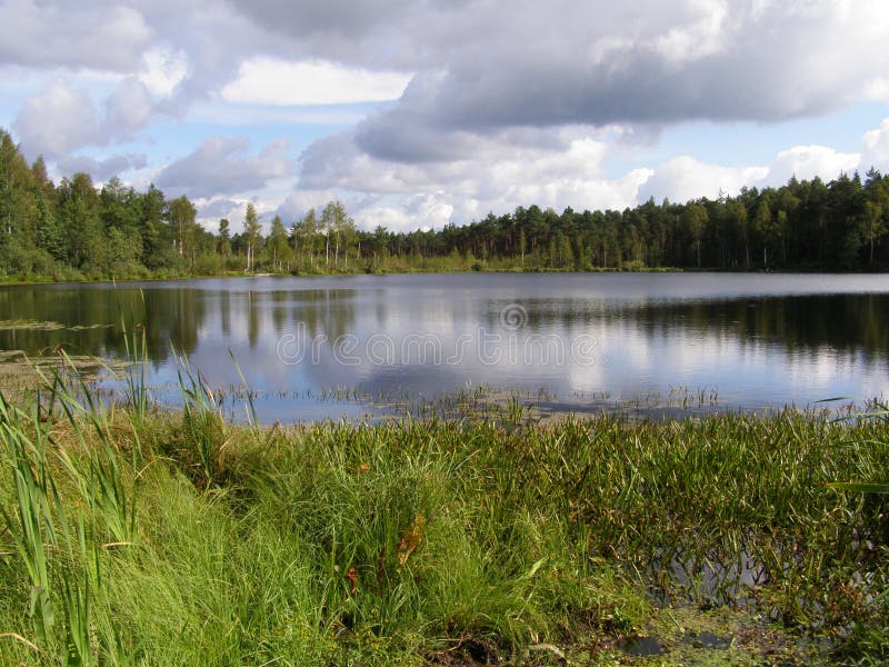 Lake in the Russian taiga stock image. Image of water - 48193349