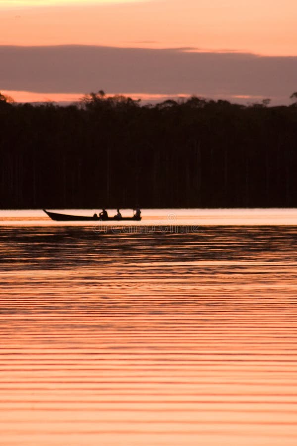 Lake Sandoval stock photo. Image of park, peru, south - 5657272