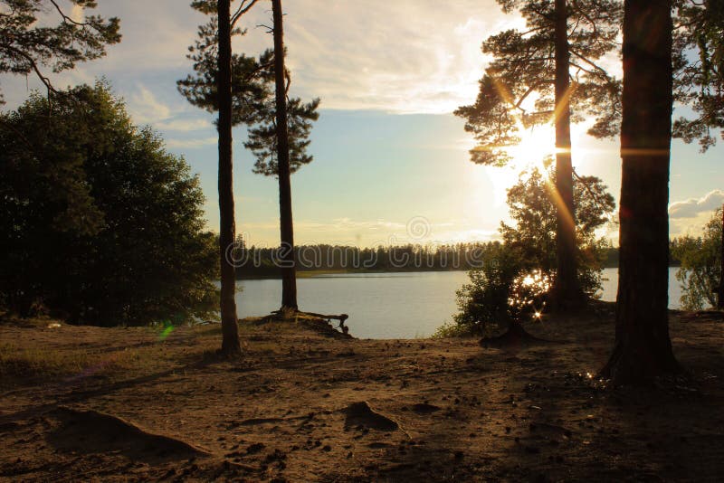 A Lake with a Sandy Beach in the Forest. Stock Image - Image of sandy ...