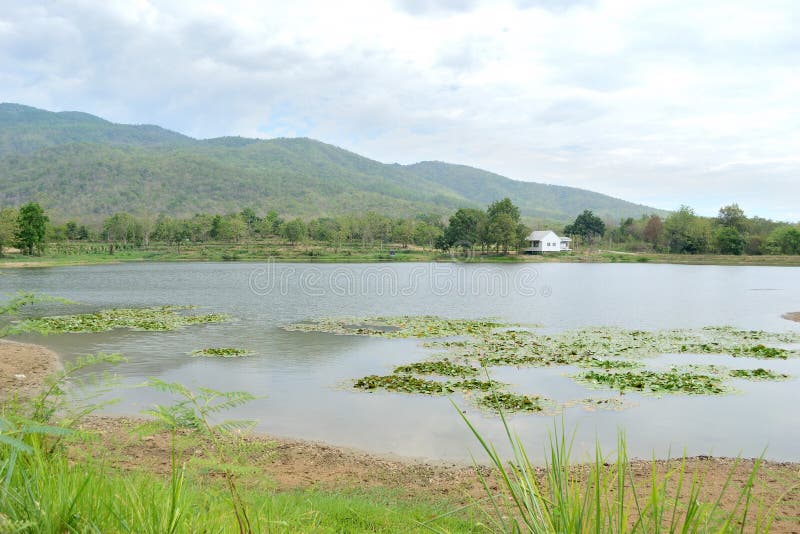 Lake Scene stock image. Image of grass, clouds, lake - 31536713