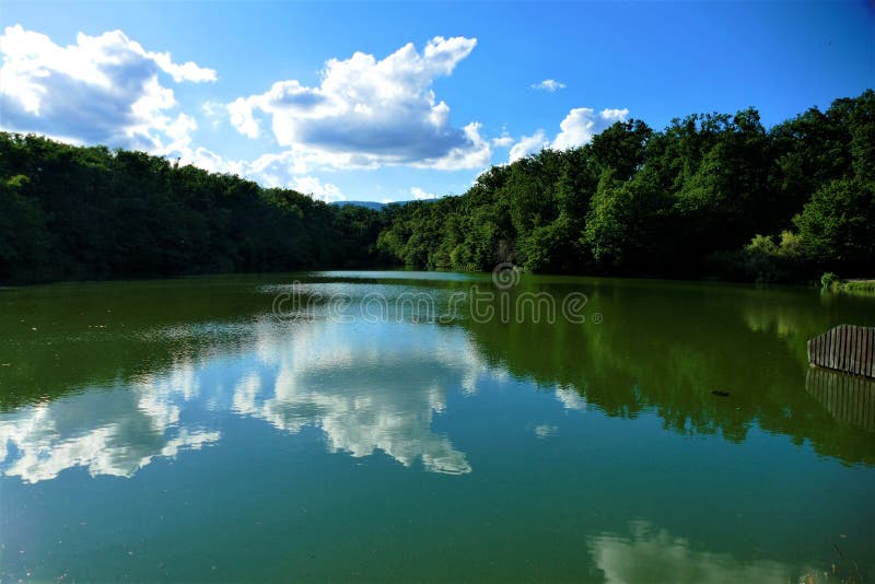 Lake Scenery Horizon with Trees, Clouds and Water Reflection Stock ...