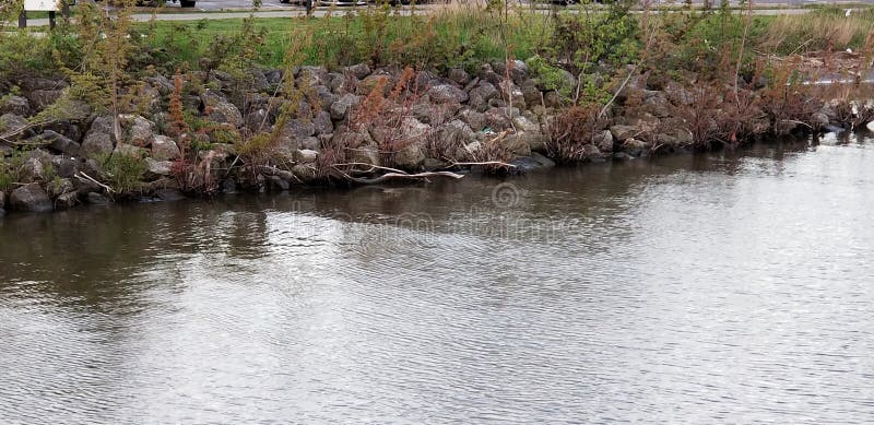 Lake view stock image. Image of lake, water, nature - 128401491