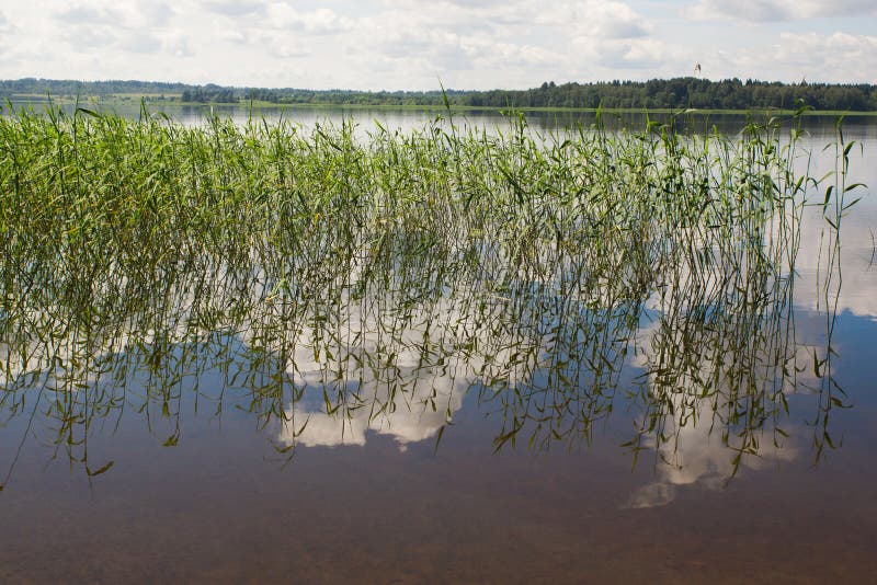 Lake Seliger. stock photo. Image of scenics, outdoors - 26187714