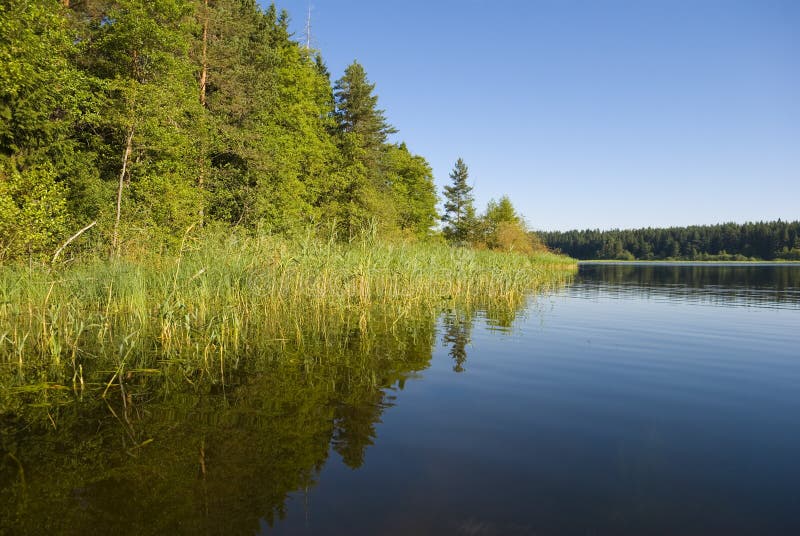 Lake Seliger coast stock photo. Image of calmness, blue - 21080052