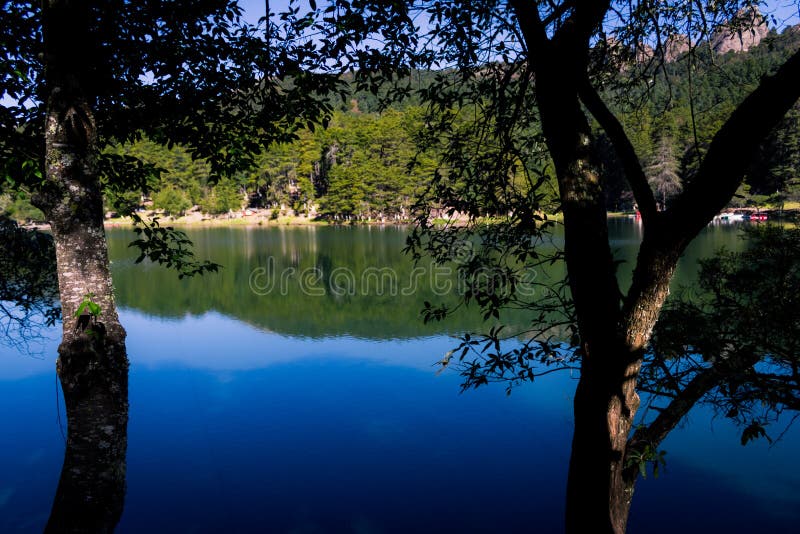 Lake through Shadows stock image. Image of green, throgh - 93287403