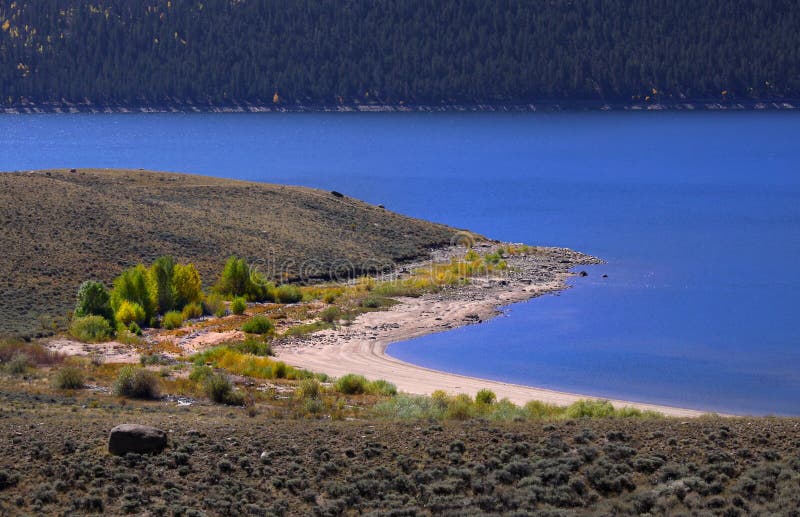 Lake shore stock image. Image of nature, beauty, scenic - 14660455