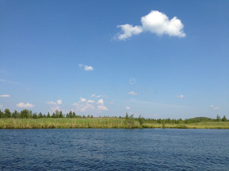 Lake Shore on the Background of Blue Sky Stock Photo - Image of good ...