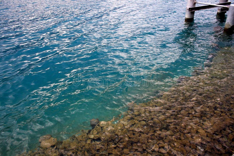 Lake shore with blue water stock photo. Image of natural - 62632414