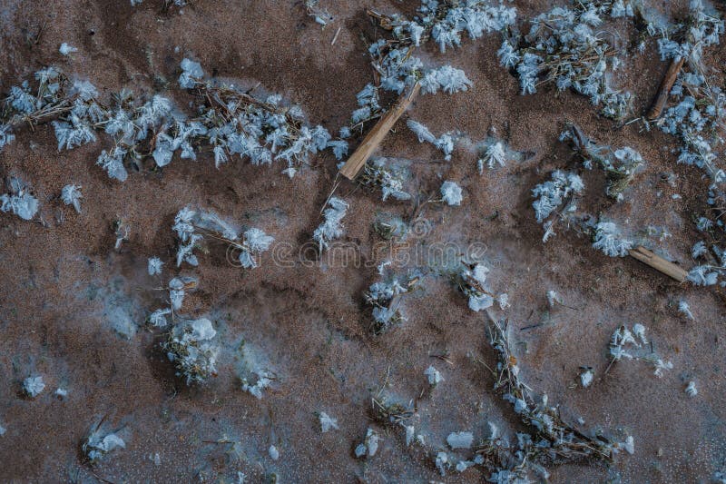 Lake Shore with Ice on Sand Closeup Stock Image - Image of background ...