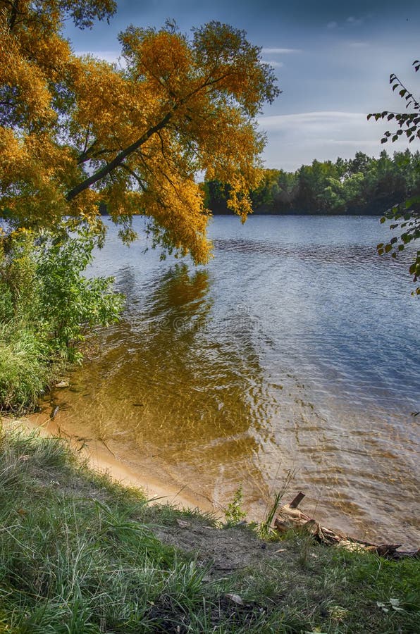 The lake shore stock photo. Image of water, lake, forest - 59087436