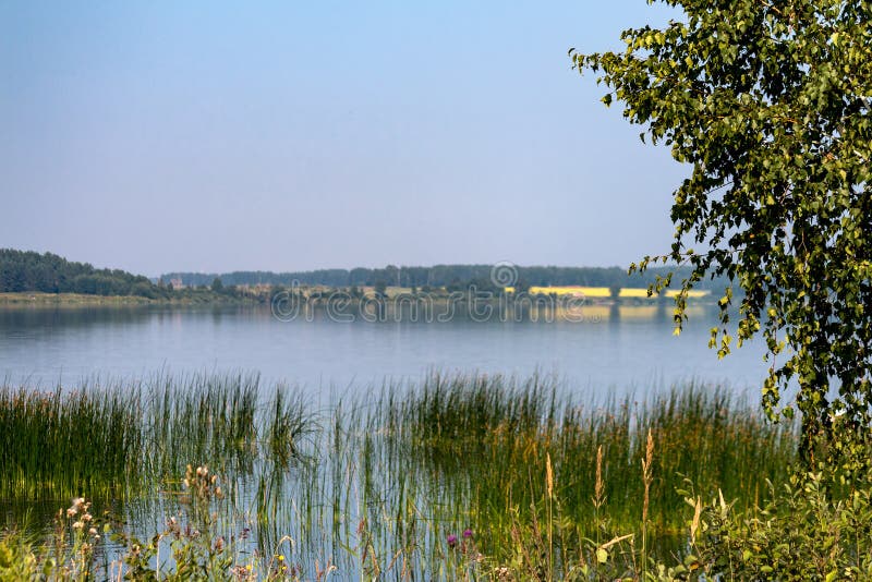 On the Lake Shore on a Summer Day Stock Photo - Image of lake, river ...