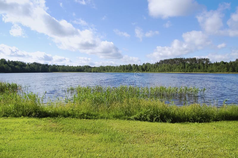 Lake shore stock image. Image of enviroment, blue, forest - 48974617