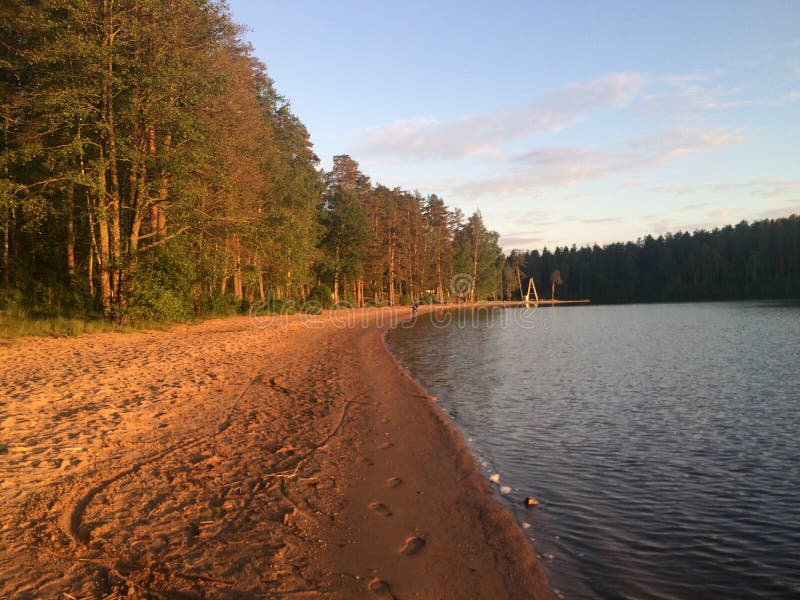 Lake Shore at Sunset in the Forest Stock Photo - Image of shore, traces ...