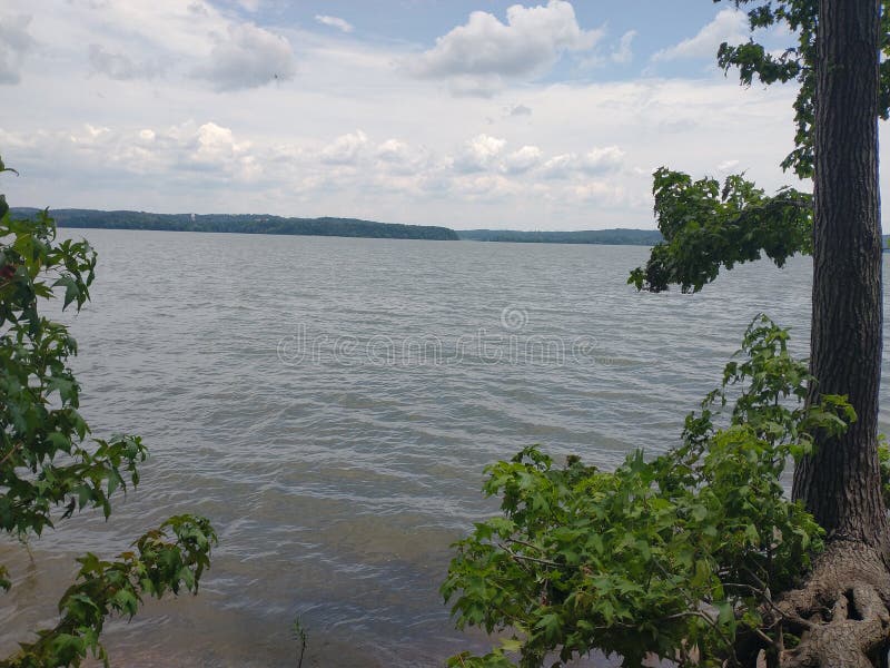 Lake shore trees stock image. Image of waterway, river - 252924677