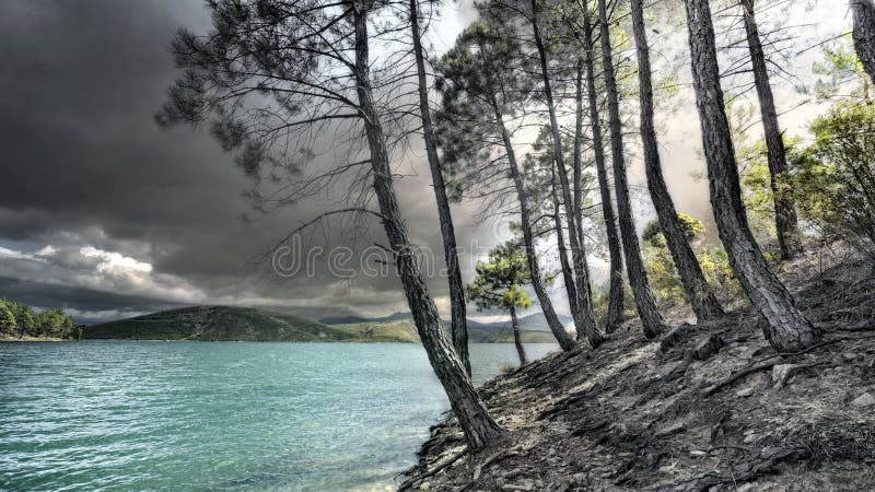 Lake Shore with Trees Under Stormy Sky Stock Illustration ...