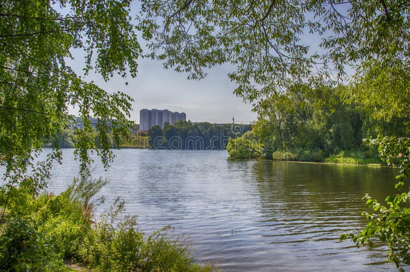 The lake shore stock image. Image of grass, lake, nature - 58480143