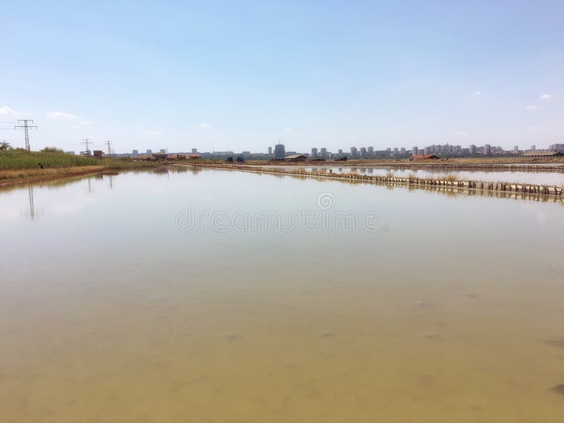 Lake shore view stock image. Image of salty, landscape - 142172141