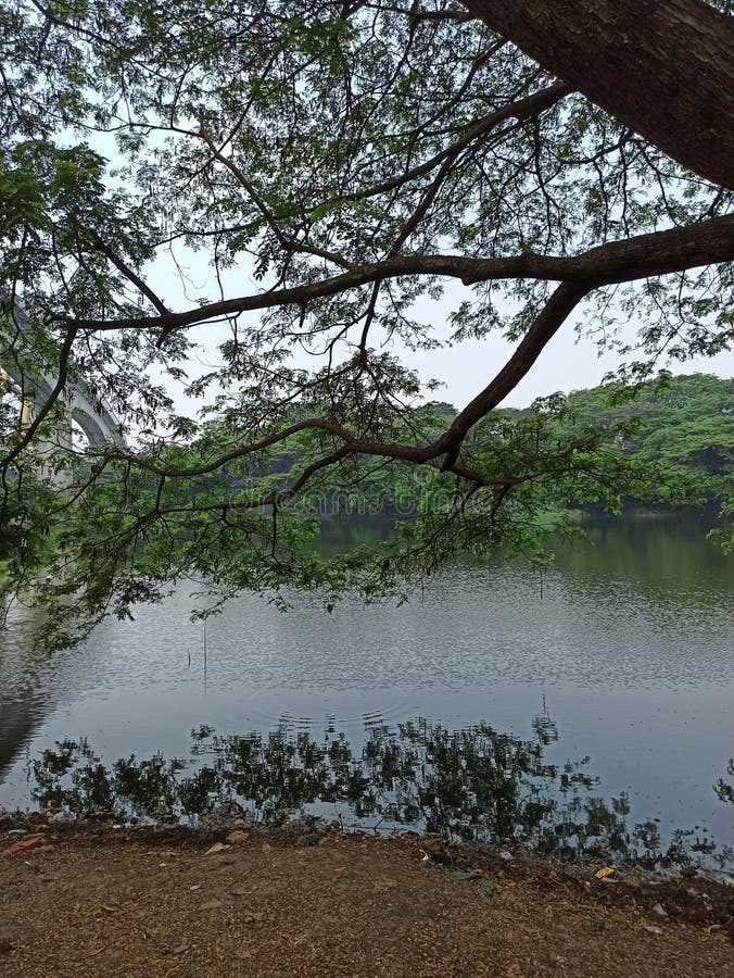 Lake Side Back To Nature with Green Forests Stock Photo - Image of side, nature: 374005706